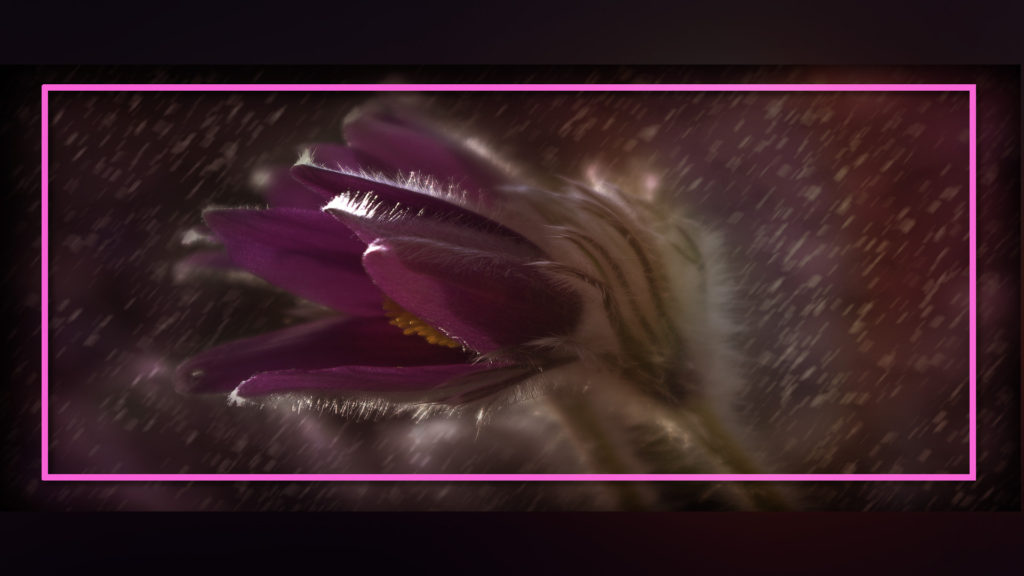 Spring Church Greeting Graphics - Progressive Church Media