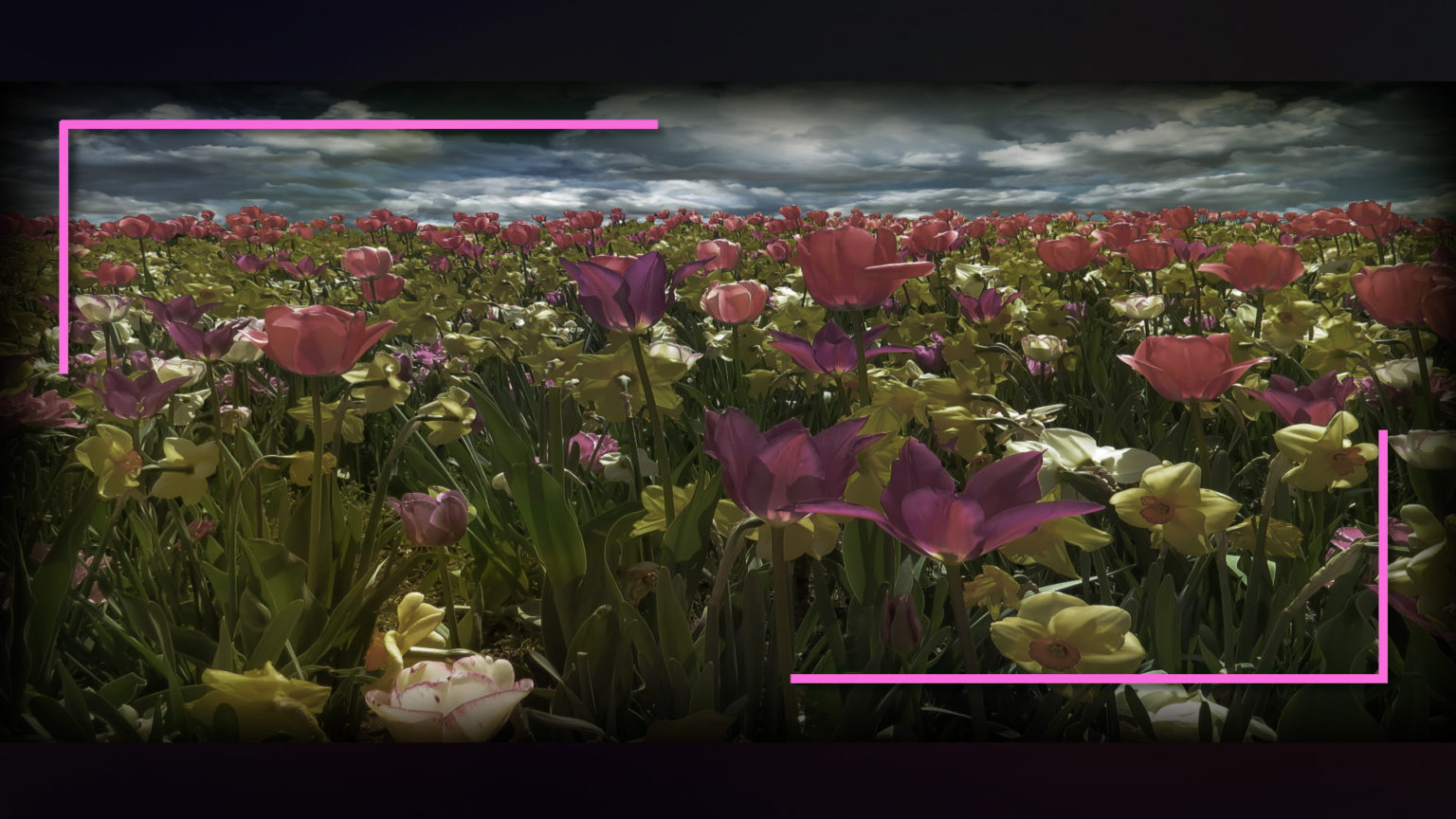 Spring Church Greeting Graphics - Progressive Church Media