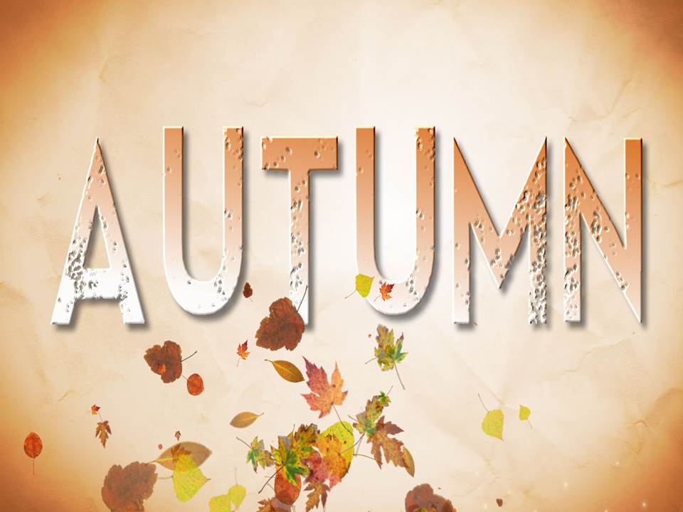 Autumn Church Background Graphics - Progressive Church Media