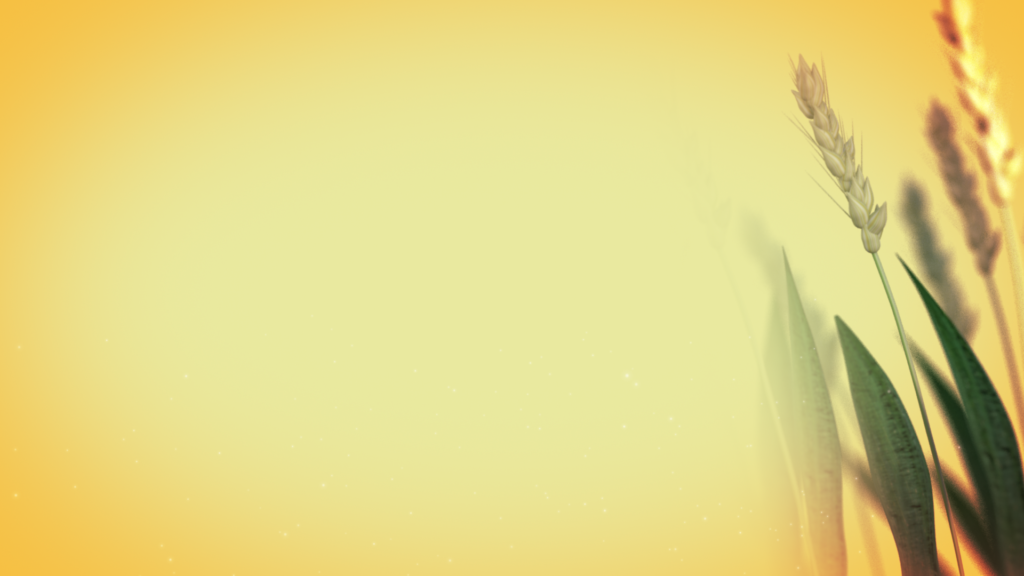 Reap And Sow Graphics (Discipleship) - Progressive Church Media