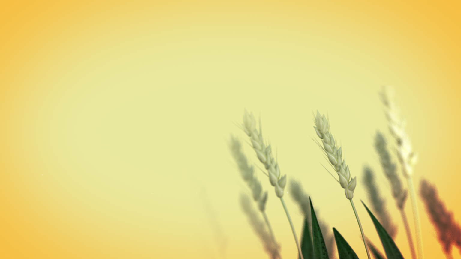 Reap And Sow Graphics (Discipleship) - Progressive Church Media