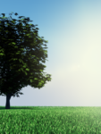 Welcome to Church Spring Graphics - Progressive Church Media
