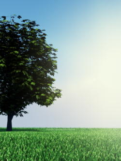 Welcome to Church Spring Graphics - Progressive Church Media