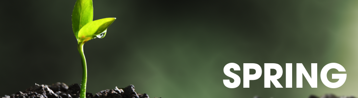 Spring - Progressive Church Media