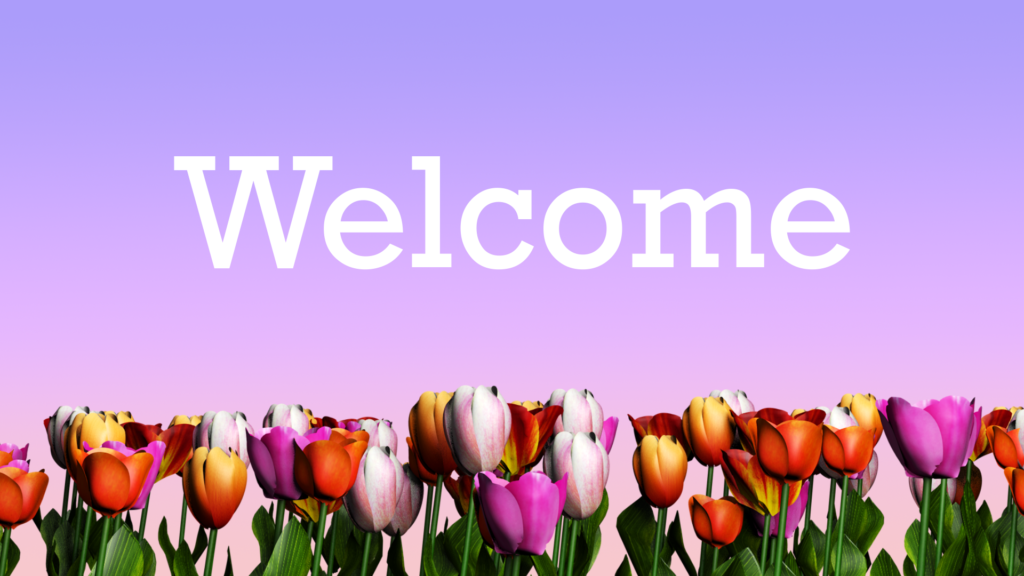 Tulips Videos - Progressive Church Media