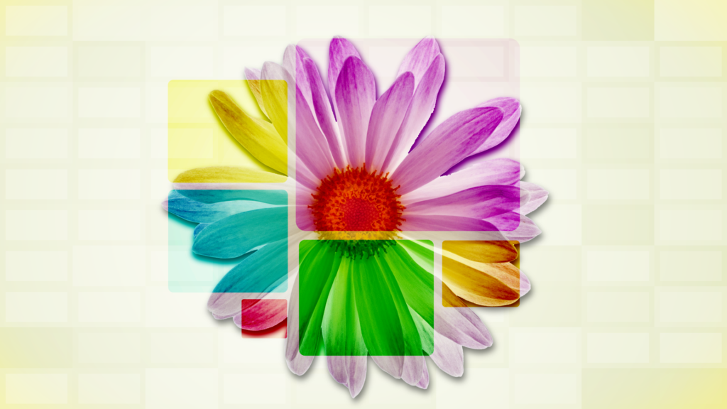 Spring Daisy Graphics - Progressive Church Media