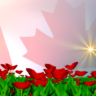 Remembrance Day Canada PowerPoint - Progressive Church Media