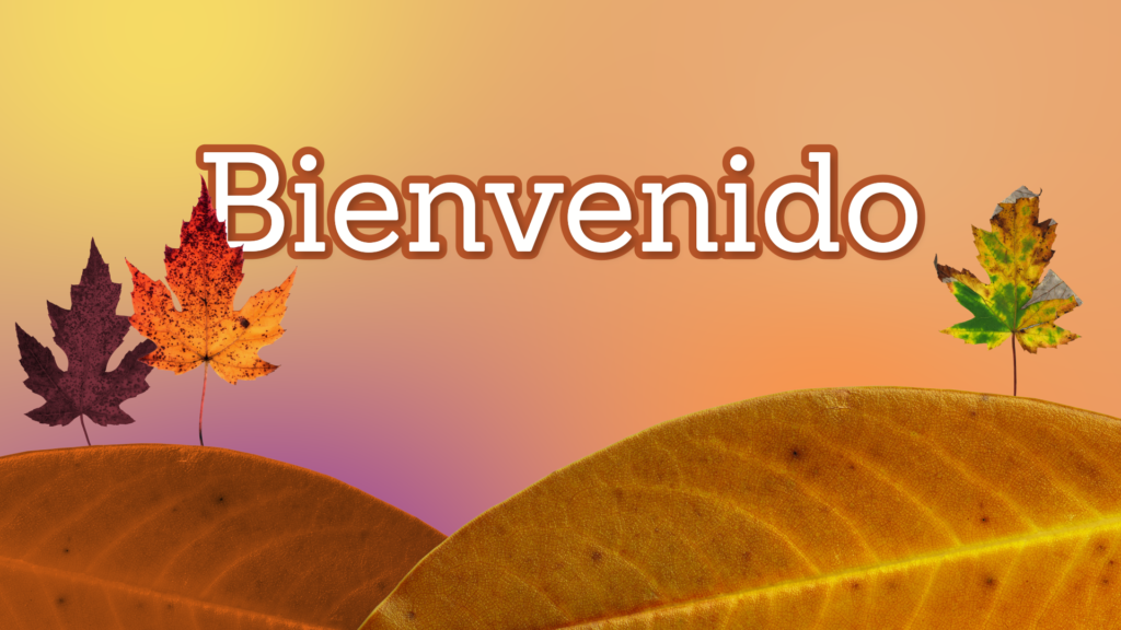 Fall Leaves Background PowerPoint - Progressive Church Media