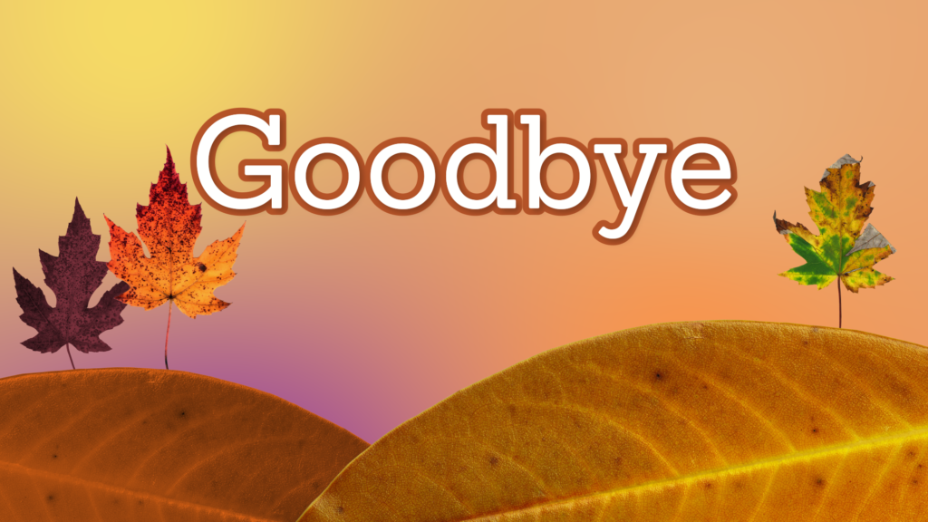 Fall Leaves Background Graphics - Progressive Church Media