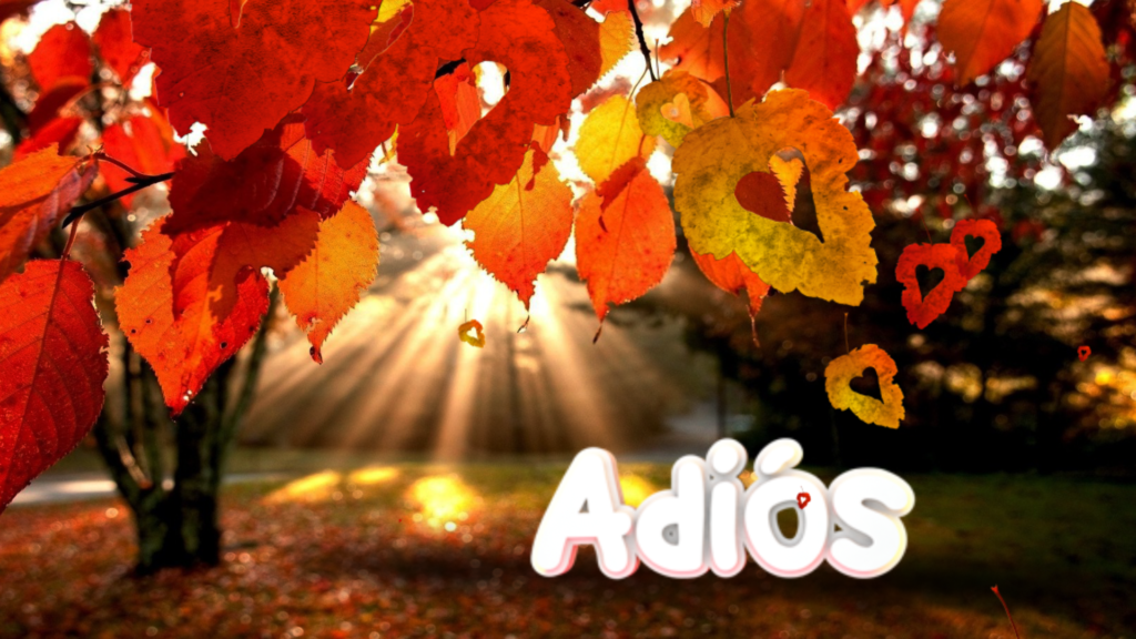 Fall Leaves Worship Graphics - Progressive Church Media