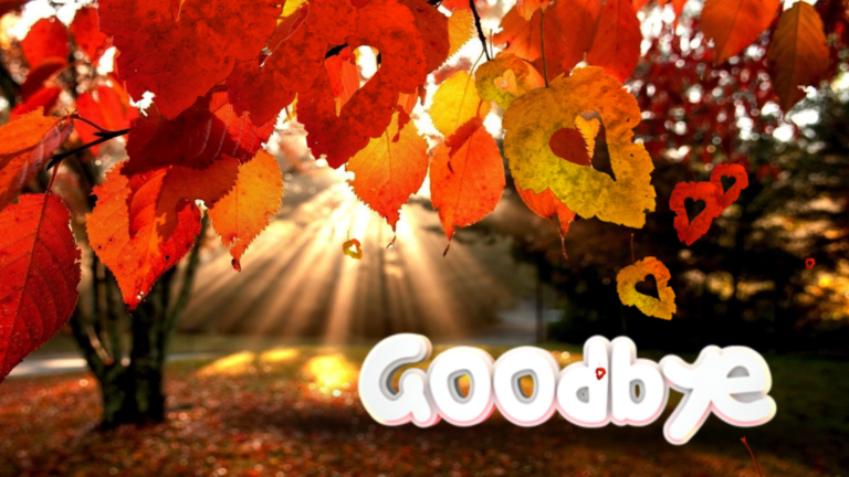Fall Leaves Worship Graphics - Progressive Church Media