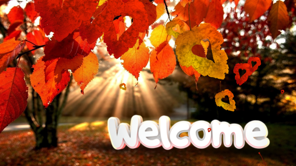 Fall Leaves Worship Graphics - Progressive Church Media