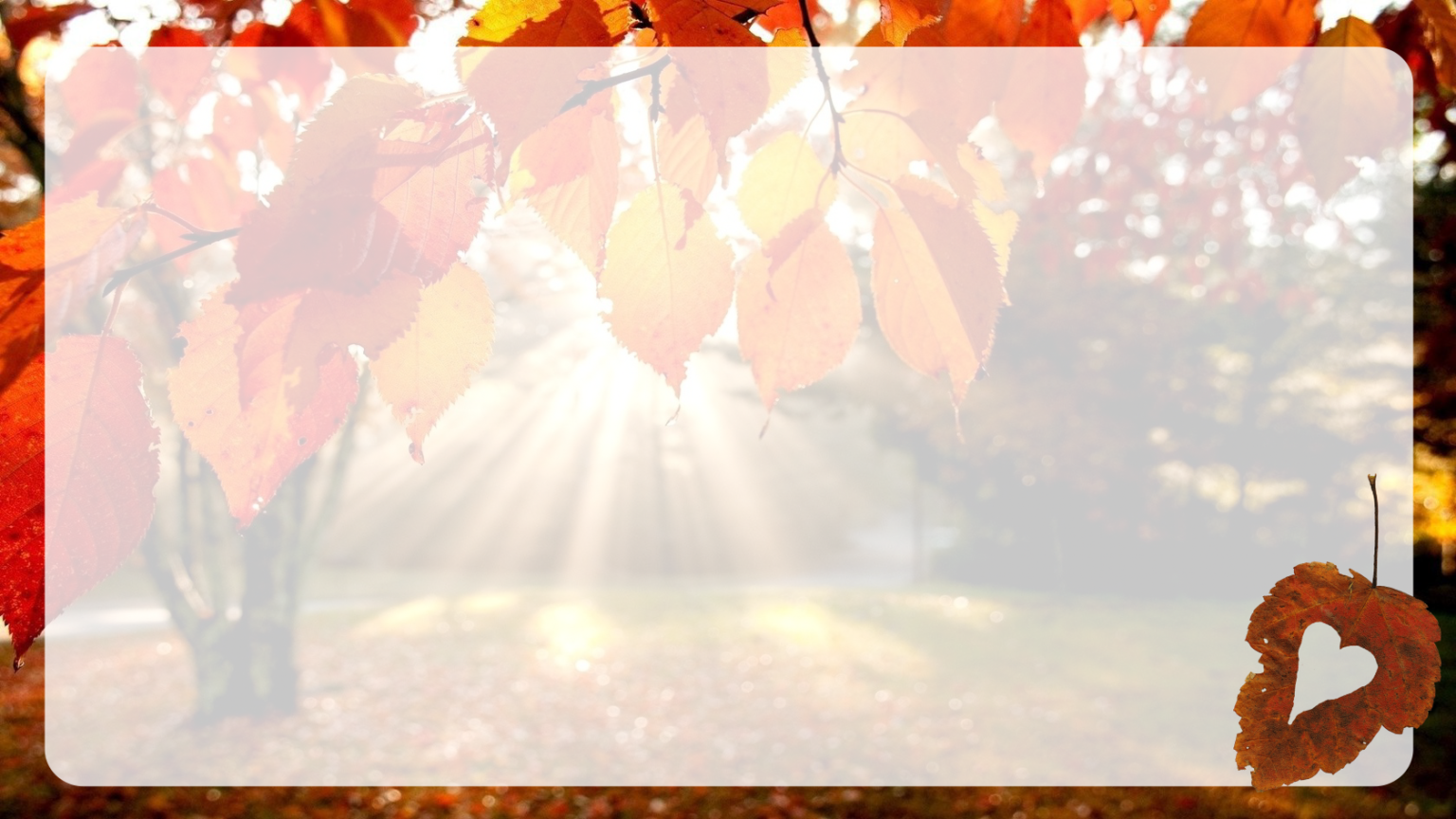 Fall Leaves Worship Graphics - Progressive Church Media