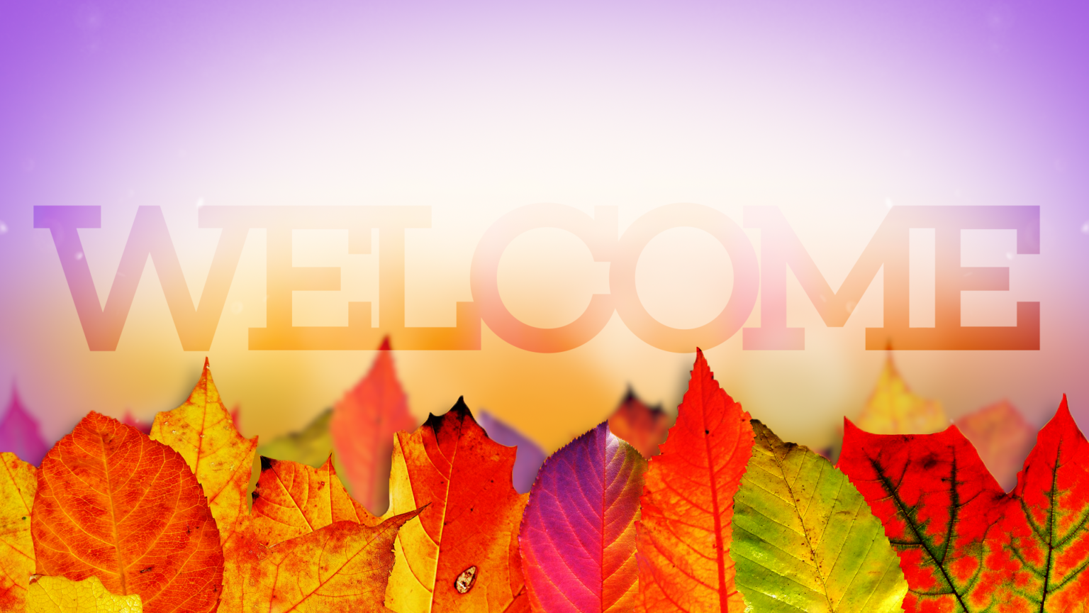 Thanksgiving Greetings Graphics - Progressive Church Media