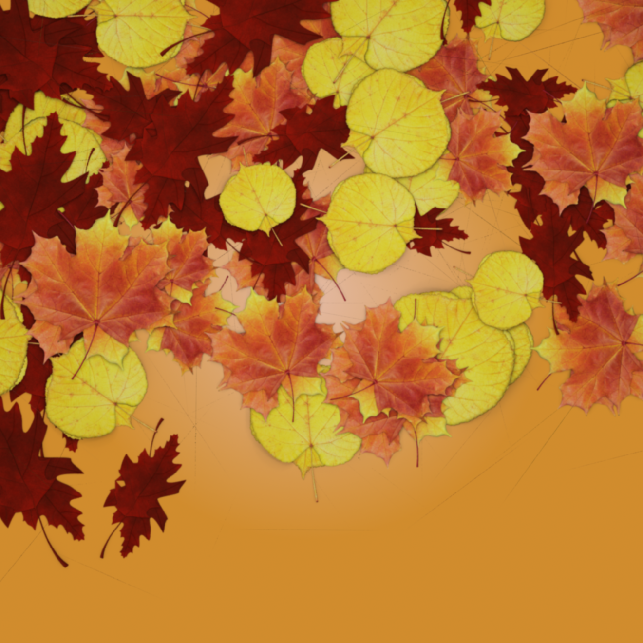 Autumn Leaf Reveal PowerPoint - Progressive Church Media
