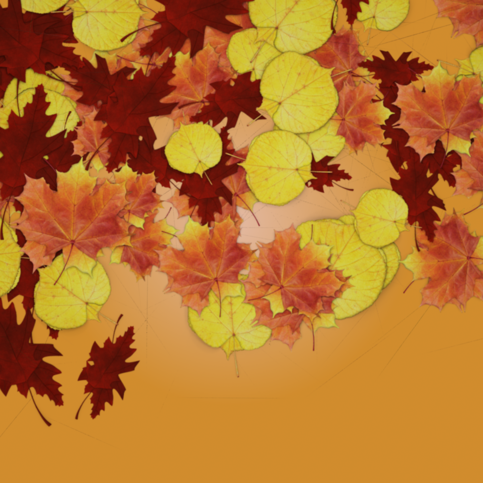 Autumn Leaf Reveal PowerPoint - Progressive Church Media