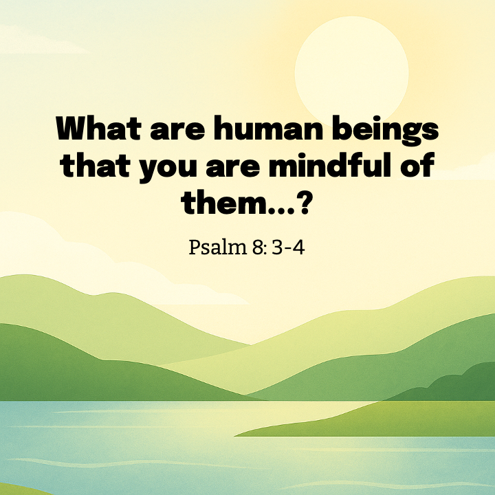 Psalms for Summer - Progressive Church Media